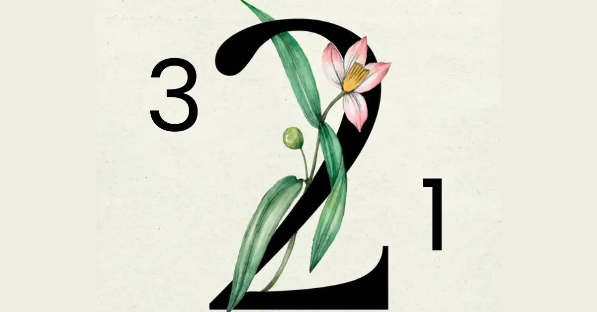 321 Angel Number: The Meaning and Significance - stromberry
